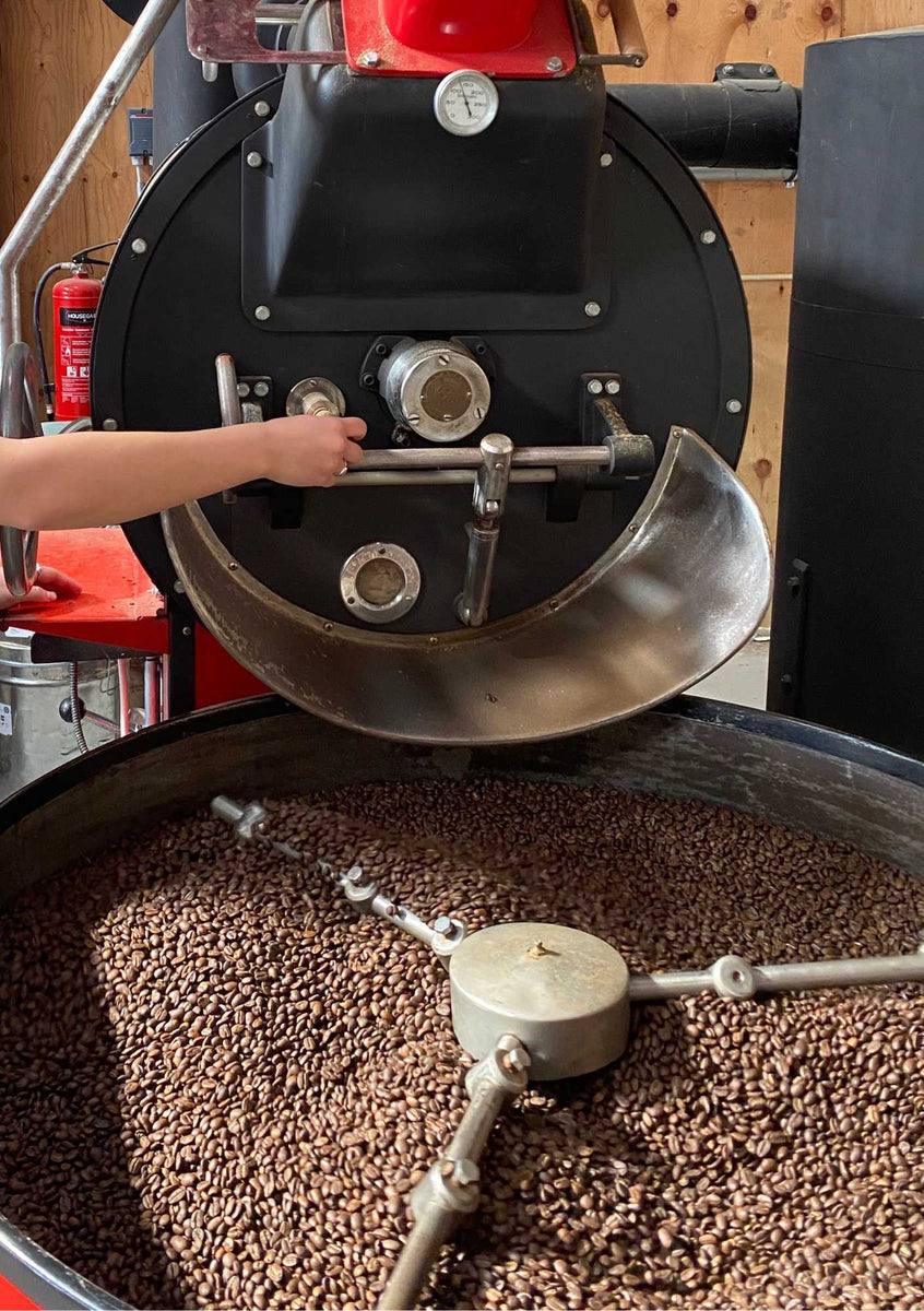 Rist selv - en begynderguide